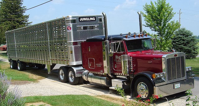 Truck Drivers U.S.A : The Best Modified Truck vol.30